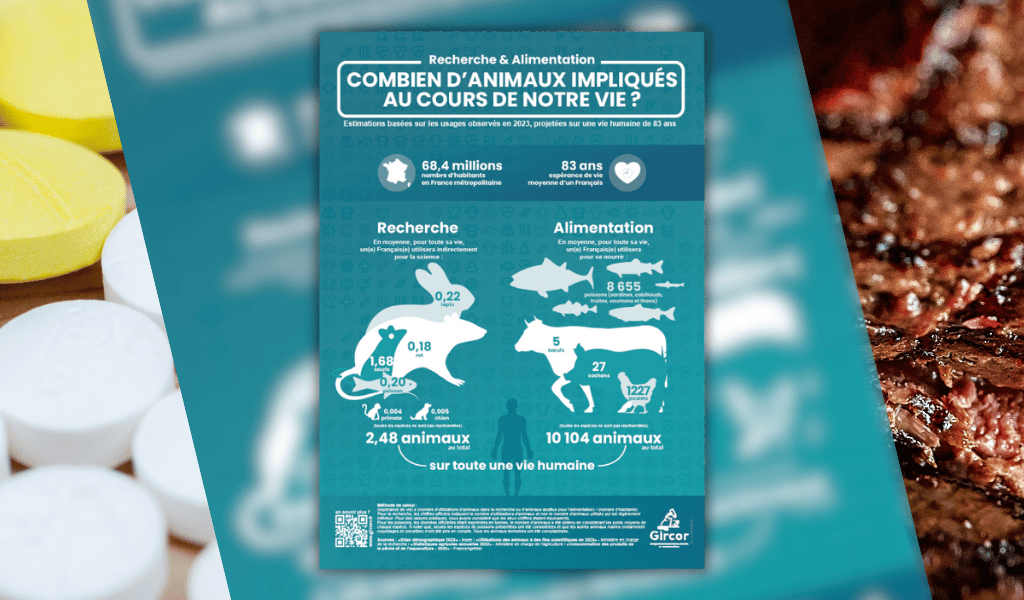 📊 Le nombre d'animaux impliqués pour la recherche et l'alimentation durant la vie d'un(e ...